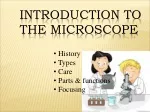 PPT - Introduction to the Light Microscope PowerPoint Presentation ...