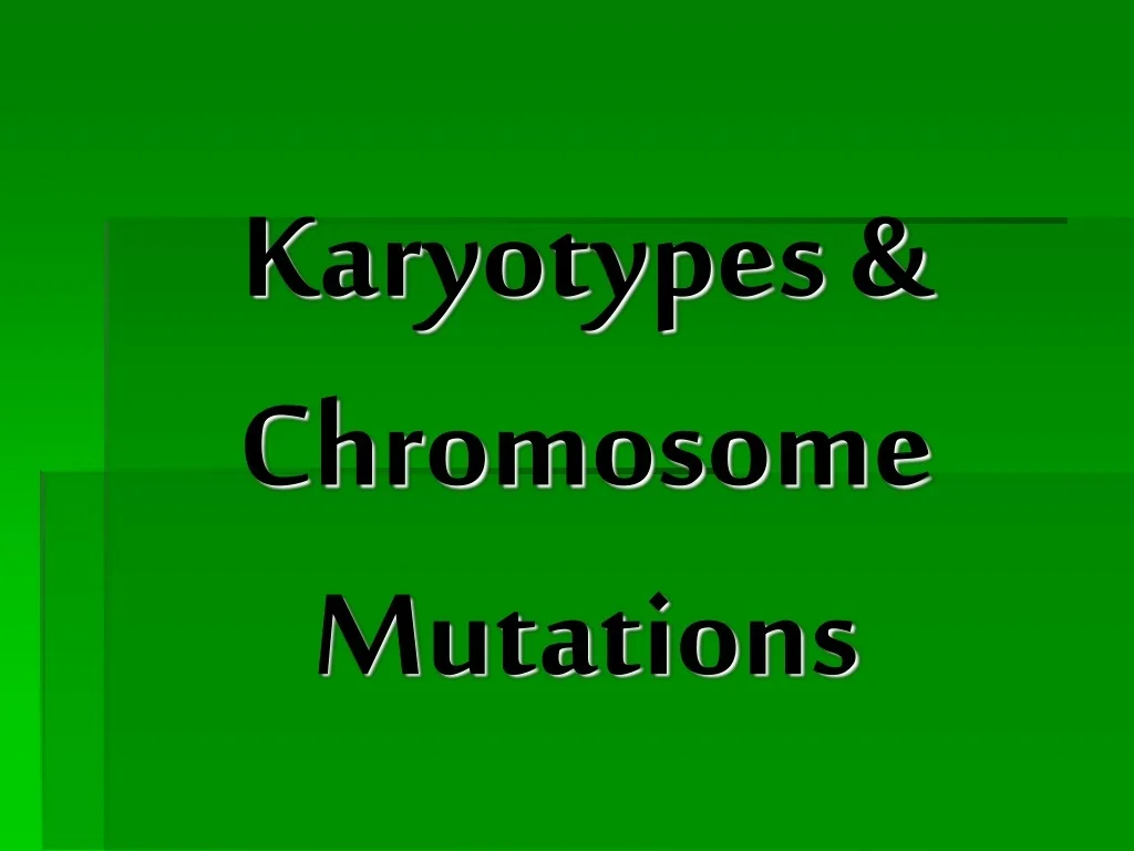 PPT - Genetic Disorders through Karyotypes and Chromosome Mutations ...