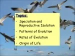 PPT - REPRODUCTIVE ISOLATION PowerPoint Presentation, free download ...