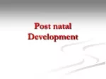 PPT - POST NATAL CARE PowerPoint Presentation, free download - ID:456604