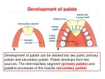 PPT - The Palate PowerPoint Presentation, free download - ID:2381564