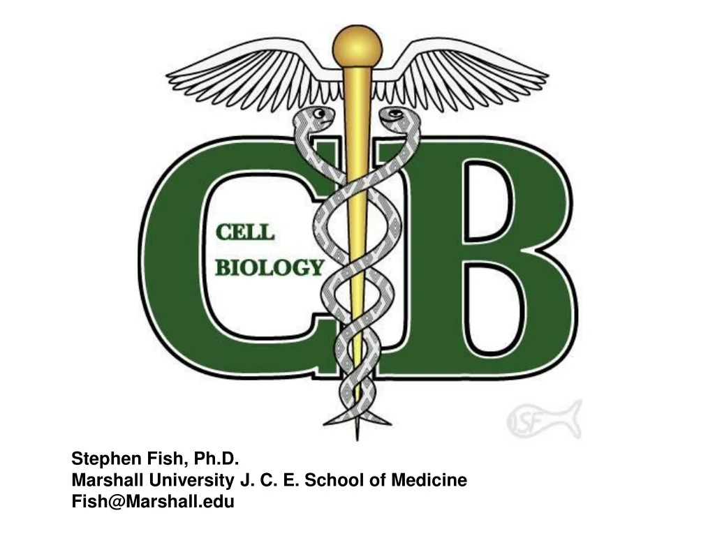 PPT - Stephen Fish, Ph.D. Marshall University J. C. E. School of ...
