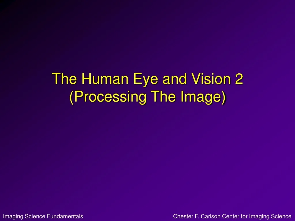 PPT - Exploring the Human Eye: Understanding Vision & Color Perception ...
