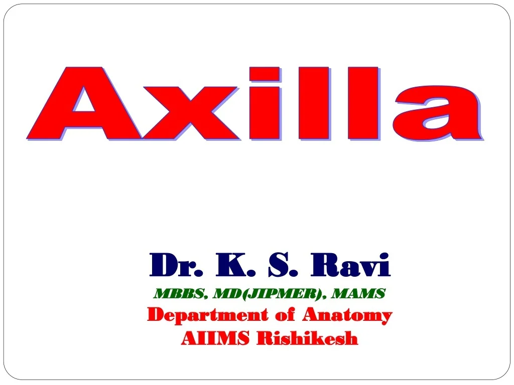 PPT - Axilla PowerPoint Presentation, free download - ID:9363882
