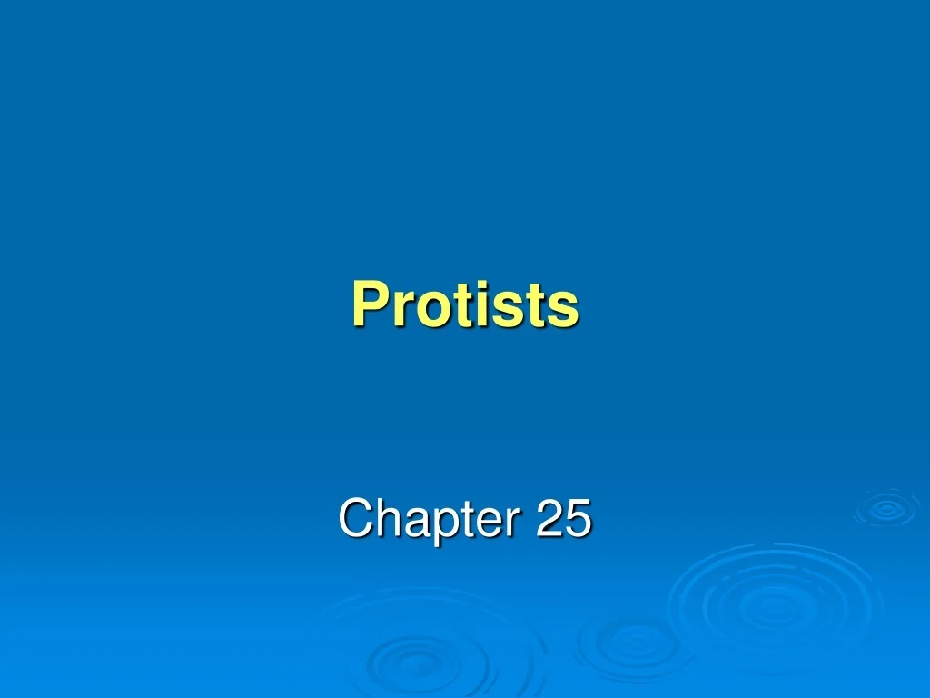 PPT - Protists PowerPoint Presentation, free download - ID:9364211