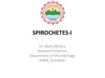 PPT - The Spirochetes PowerPoint Presentation, free download - ID:1182180