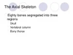 PPT - The Axial Age PowerPoint Presentation, free download - ID:742000