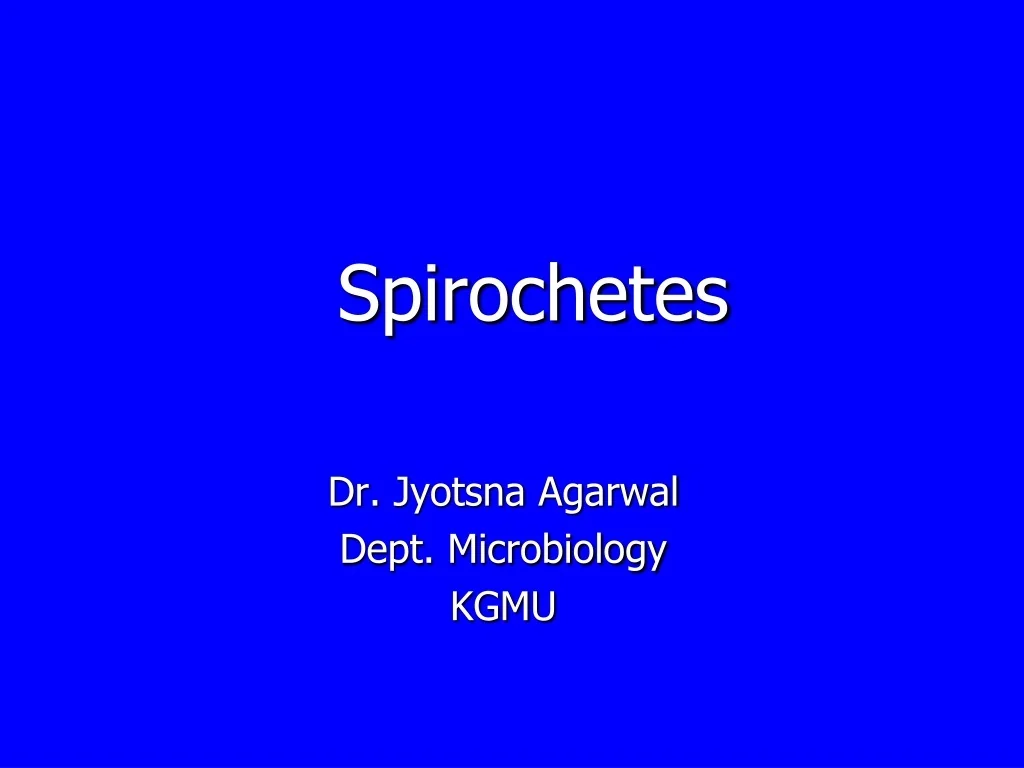 PPT - Spirochetes PowerPoint Presentation, free download - ID:9366052