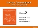 PPT - Genetics and Prenatal Development PowerPoint Presentation, free ...
