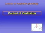 PPT - CONTROL OF VENTILATION PowerPoint Presentation, free download ...