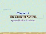 PPT - Chapter 5 The Skeletal System PowerPoint Presentation, free ...