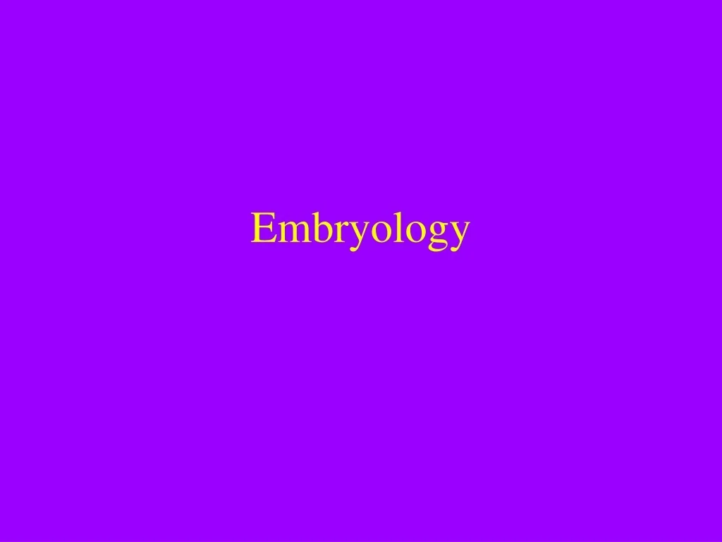 PPT - Embryology PowerPoint Presentation, free download - ID:9368836