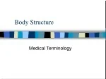 PPT - Body Structure PowerPoint Presentation, free download - ID:3332794