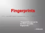 PPT - Fingerprints PowerPoint Presentation, free download - ID:3930838