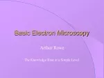 PPT - Basic Electron Theory PowerPoint Presentation, free download - ID:690402