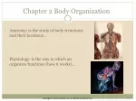 PPT - Chapter 1 ORGANIZATION AND GENERAL PLAN OF THE BODY PowerPoint ...