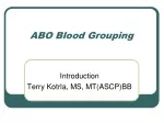 PPT - ABO and H Blood Groups PowerPoint Presentation, free download - ID:6679262