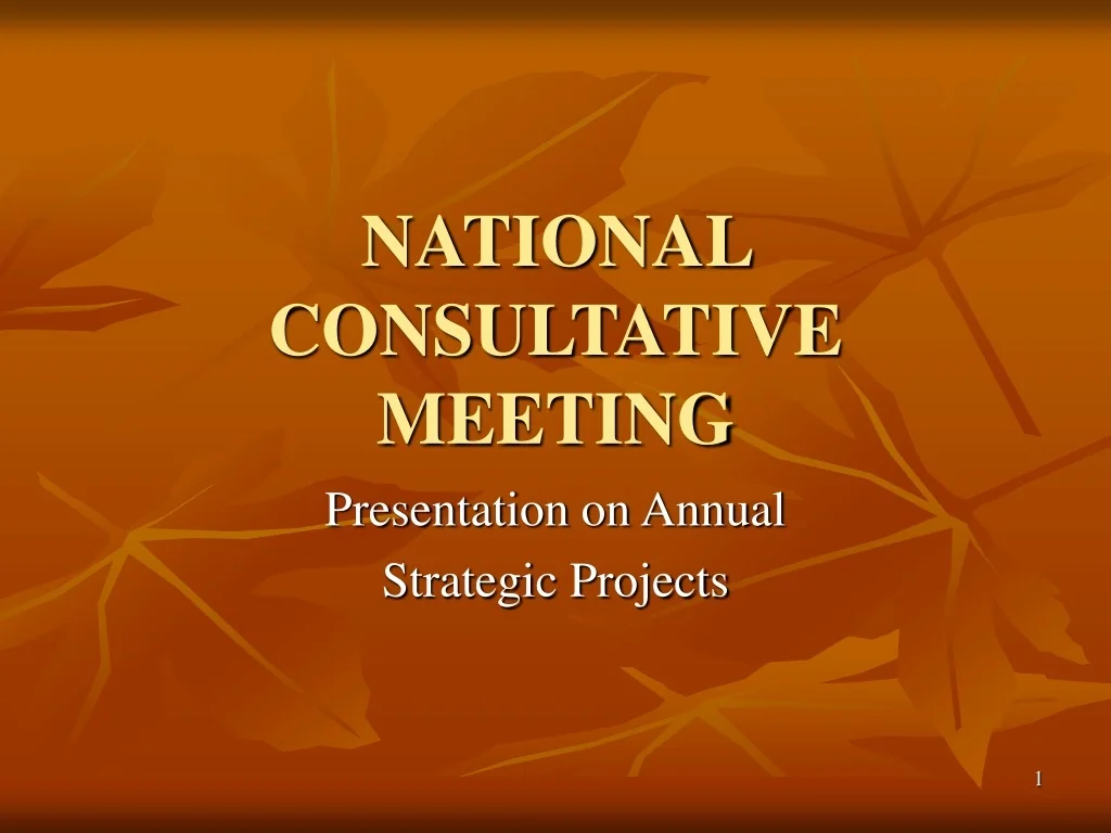 PPT - NATIONAL CONSULTATIVE MEETING PowerPoint Presentation, free ...