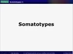 PPT - Somatotypes PowerPoint Presentation, free download - ID:9477775