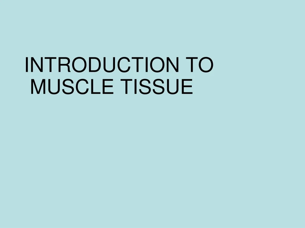 PPT - INTRODUCTION TO MUSCLE TISSUE PowerPoint Presentation, free ...