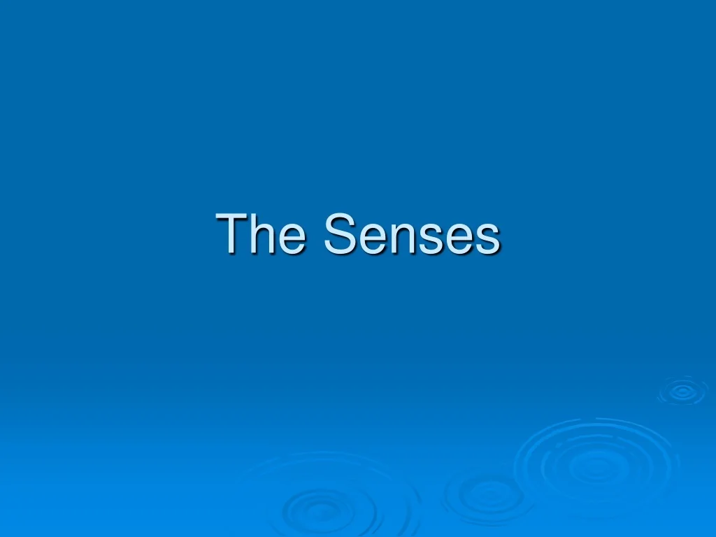 PPT - The Senses PowerPoint Presentation, free download - ID:9378667
