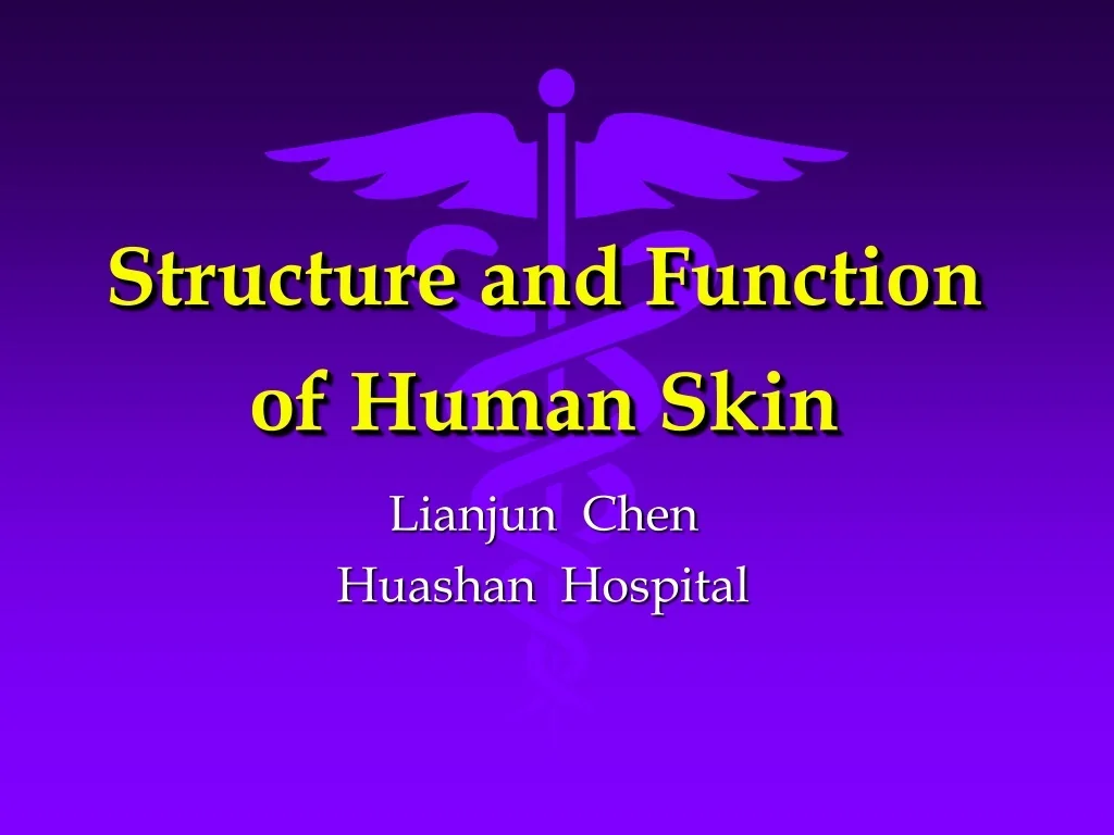 PPT - Structure and Function of Human Skin PowerPoint Presentation ...