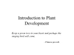 PPT - Introduction to plant modelling PowerPoint Presentation, free ...