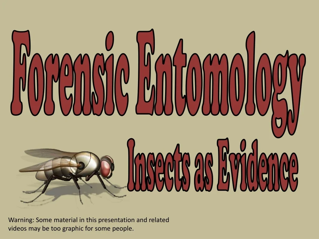 PPT - Forensic Entomology PowerPoint Presentation, free download - ID ...