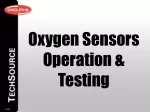 PPT - CHAPTER 25 Wide-Band Oxygen Sensors PowerPoint Presentation, free ...