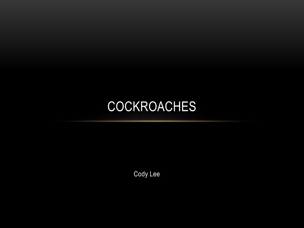 PPT - COCKROACHES PowerPoint Presentation, free download - ID:9382584