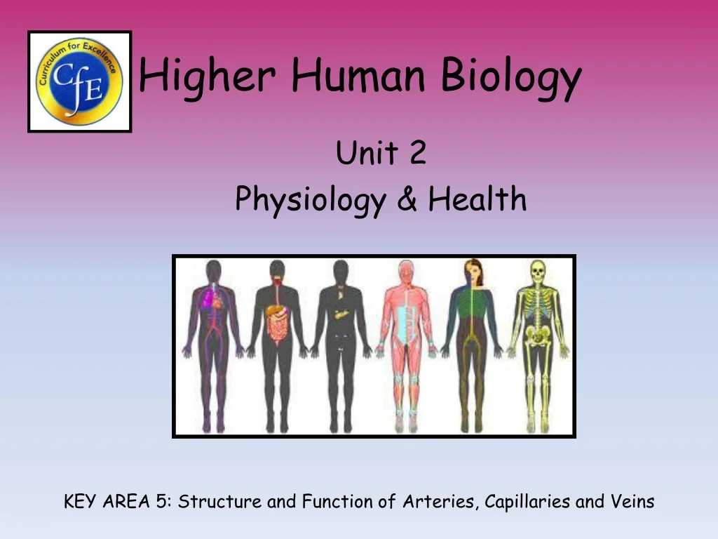 PPT - Higher Human Biology PowerPoint Presentation, free download - ID ...