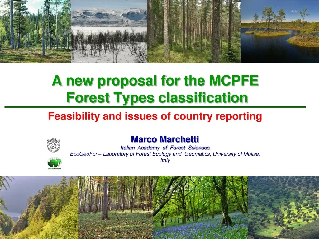 PPT - A new proposal for the MCPFE Forest Types classification ...