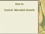 PPT - Control of Microbial Growth (Sterilization and Disinfection ...