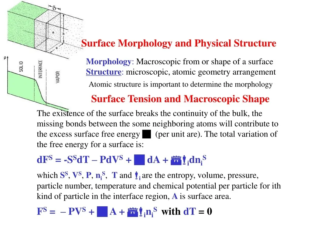 PPT - Surface Morphology and Physical Structure: An In-depth Analysis ...