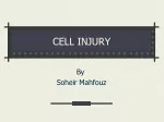 PPT - Cell Injury PowerPoint Presentation, free download - ID:2207049