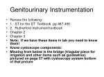 PPT - Genitourinary Radiology PowerPoint Presentation, free download ...