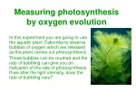 PPT - Evolution of Oxygen in the Atmosphere PowerPoint Presentation ...