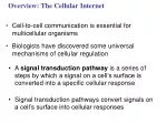 PPT - Overview of cellular system PowerPoint Presentation, free ...