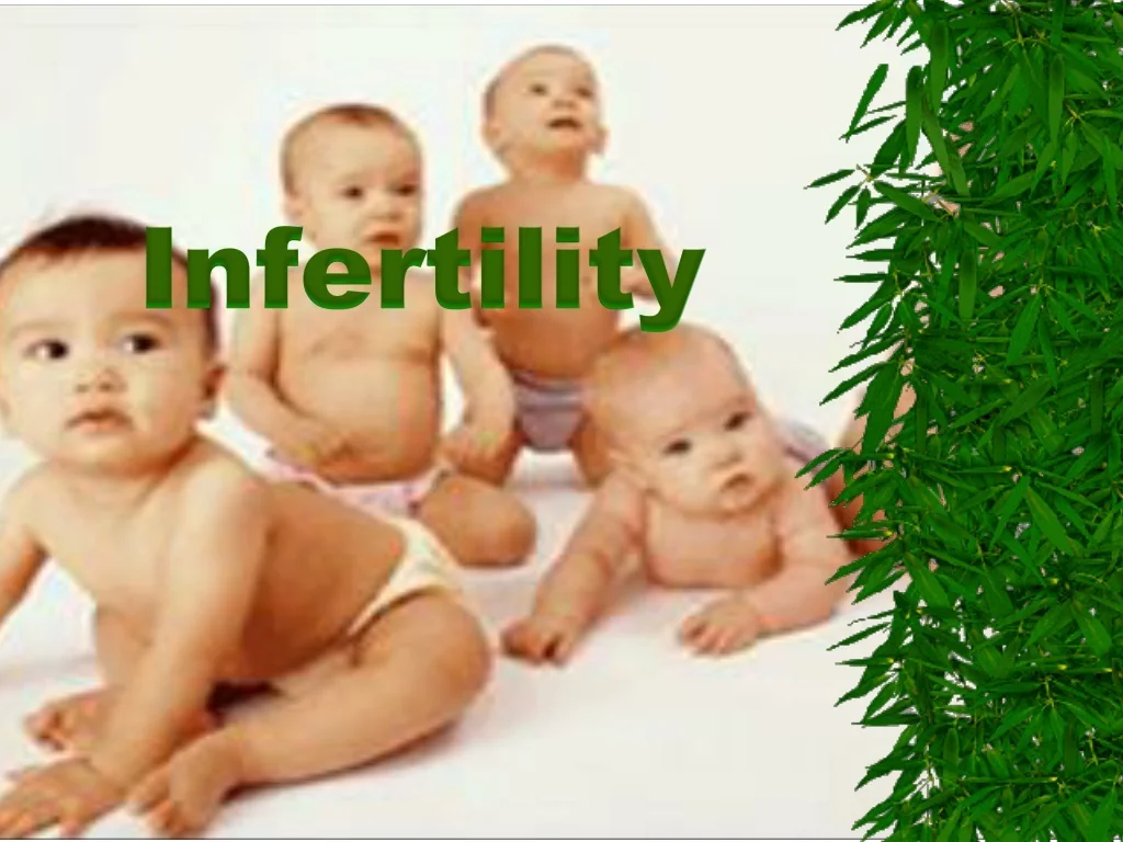 PPT - Infertility PowerPoint Presentation, free download - ID:9393532