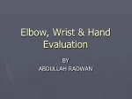 PPT - The Elbow, Wrist, and Hand PowerPoint Presentation, free download ...