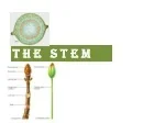 PPT - T H E E N D T I M E S PowerPoint Presentation, free download - ID ...