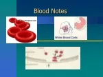 PPT - Blood Types Notes PowerPoint Presentation, free download - ID:2508195