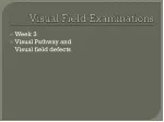 PPT - Perimetry visual field PowerPoint Presentation, free download ...