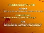 PPT - Stanford Medicine 25 Fundoscopy PowerPoint Presentation, free ...