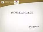 PPT - ECMO PowerPoint Presentation, free download - ID:196175