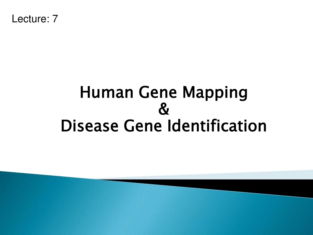 PPT - Human Gene Mapping & Disease Gene Identification Overview ...