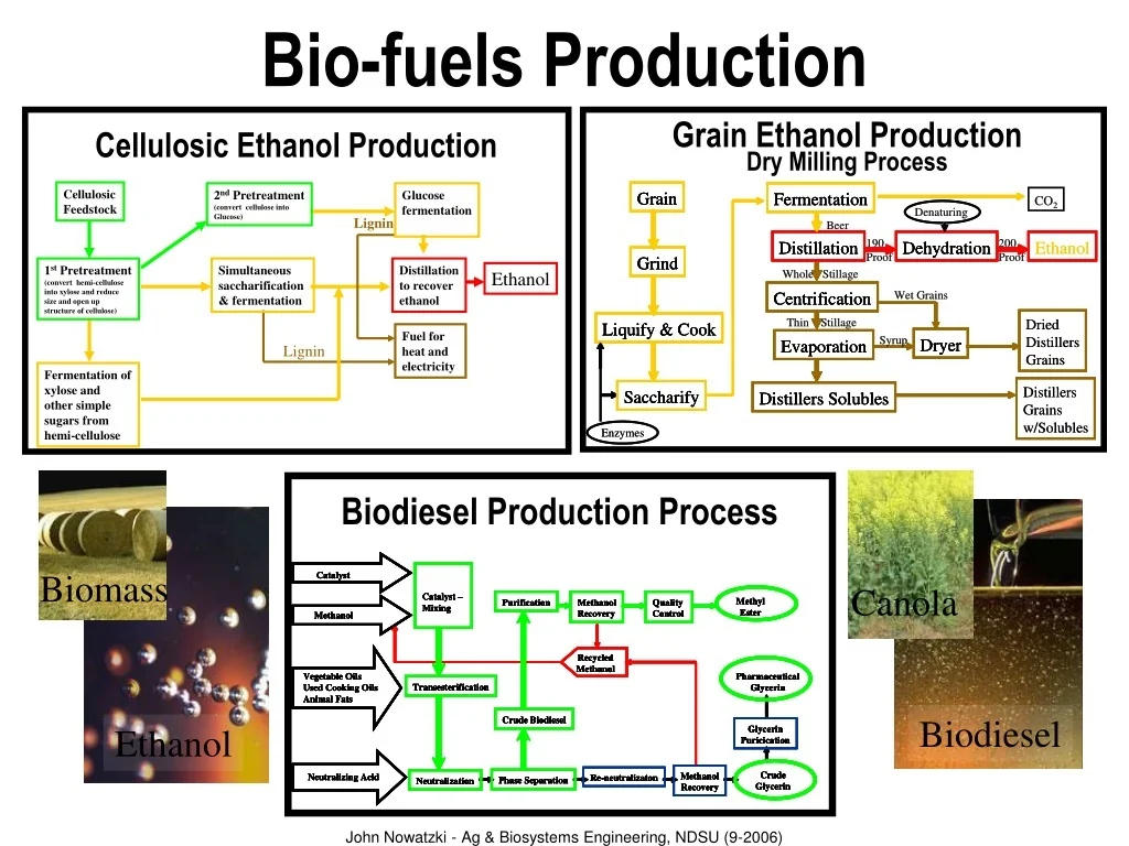 PPT - Bio-fuels Production from Biomass: Canola Biodiesel & Cellulosic ...