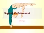 PPT - Human Biology Chapter 20 Support and Movement PowerPoint ...