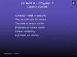 PPT - Colour vision PowerPoint Presentation, free download - ID:5612054