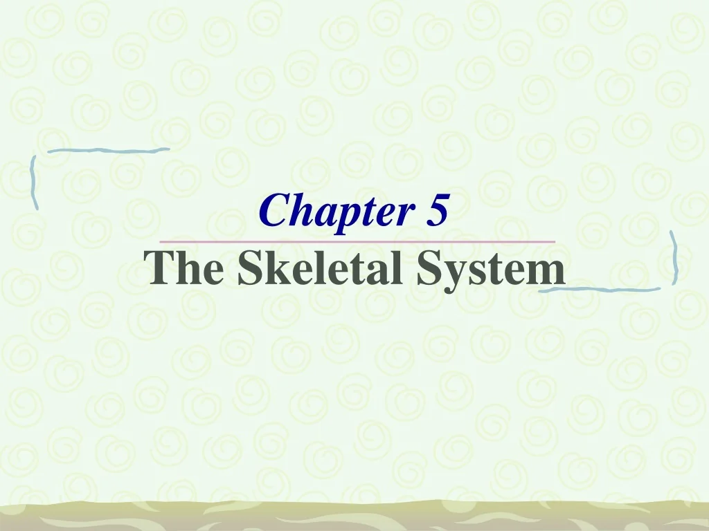 PPT - Skeletal System: Bones, Functions & Anatomy PowerPoint ...